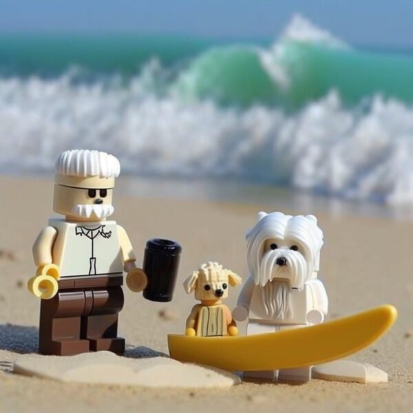 LEGO Surf: Desafío en las Olas - Surf y Vida